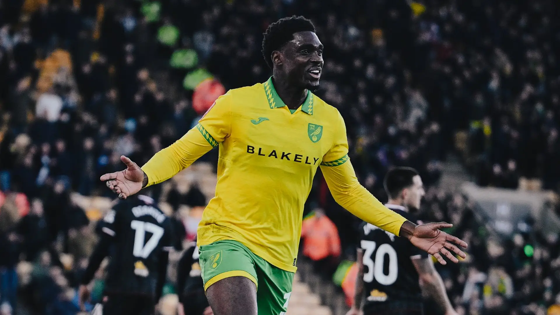 Mohamed Toure: Norwich City v West Brom goal, reaction, Socceroos